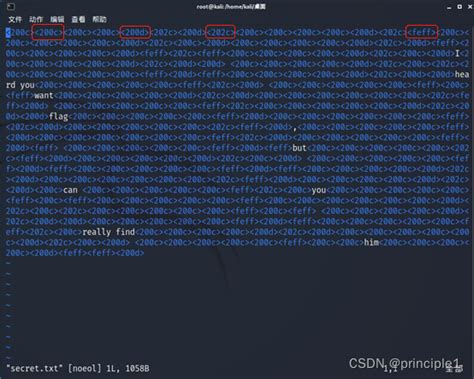 零宽度字符隐写解密 csdn博客