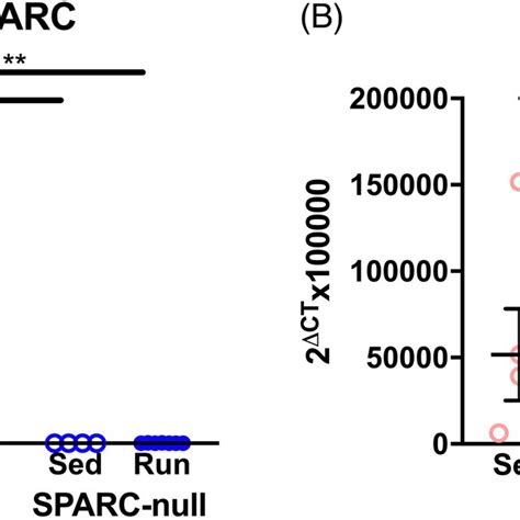 Confirmation Of Secreted Protein Acidic And Rich In Cysteine Sparc Download Scientific