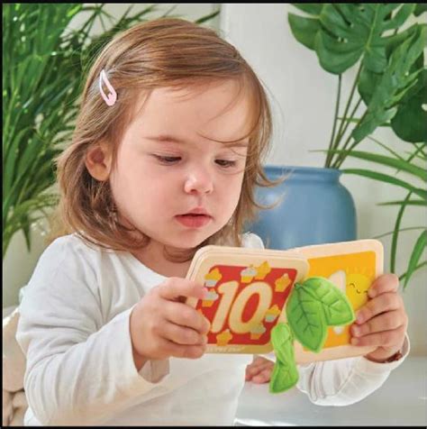 Counting Book Toypik