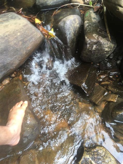 ප්‍රදාන මාර්ග ආසන්න ්යේ සාරවත් පොල් වගාව සහ කුබුරු ඇතුළු විසාල ඇල මාර්ග2ක් මැදින් යන අක් 5 ඉඩම