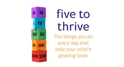 Five To Thrive Better Health North Somerset