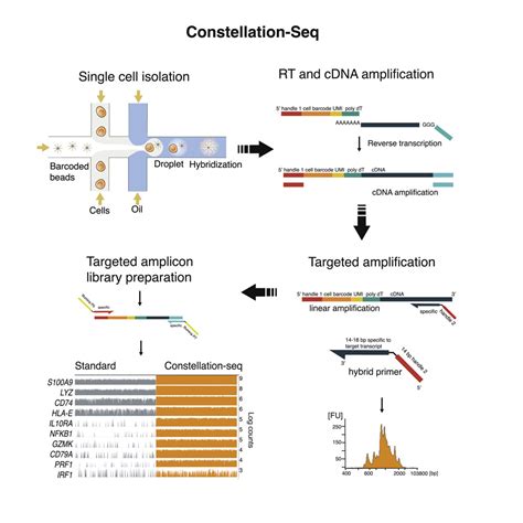Resolving Cellular Systems By Ultra Sensitive And Economical Single