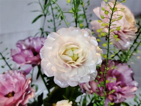 라넌큘러스 꽃말과 꽃다발 오래 보는 보관법 네이버 블로그