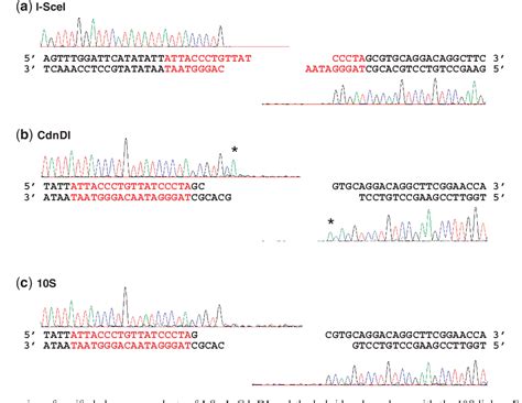 figure 6 from creation of a type iis restriction endonuclease with a