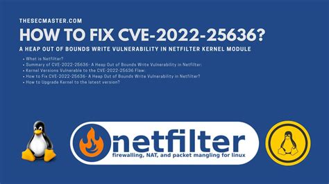 fix linux cve 2022 25636 netfilter security patch guide