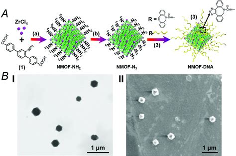 A Synthesis Of The Nucleic Acid Functionalized Uio 68 Nmof Particles