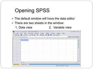 Spss Intro For Engineering PPT Technology Computing