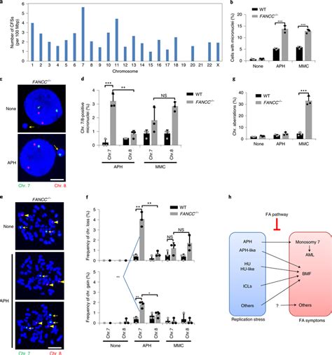 Replication Stress Specifically Induces Monosomy 7 In Fa Deficient
