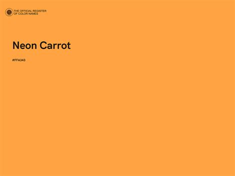 Neon Carrot Color Ffa343 The Official Register Of Color Names