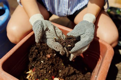 Mastering Composting Top Solutions To Common Composting Challenges