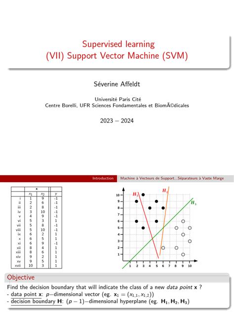 Dataminingm1svm Pdf Support Vector Machine Mathematical Optimization
