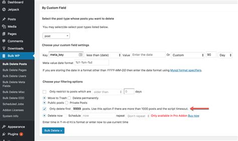 Bulk Delete Posts By Custom Field Bulk WP