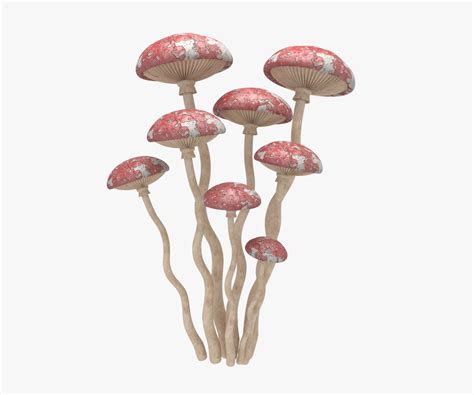 Mushroom Free 3d Models Download Free3d