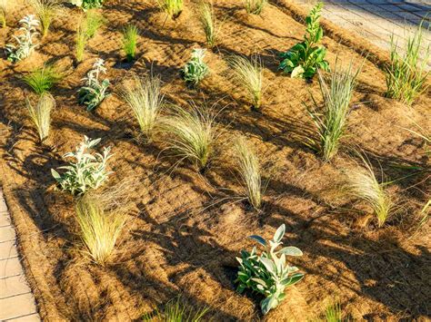 Organic Mulch Mats Great For Both Now And Later