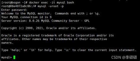 docker部署mysql8并使用navicat建立连接（原创 超详细 可行） docker mysql8 navicat csdn博客