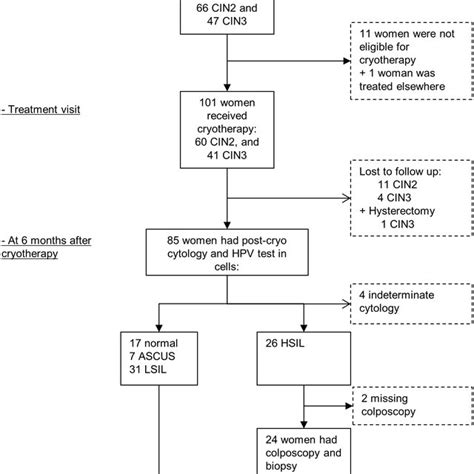 Flowchart Study Population Hpv Human Papillomavirus Cin Cervical