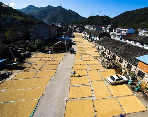 打场晒谷晒谷场晒谷场上文秘苑图库