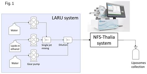 Inprocess Lsp On Linkedin Continuous Inline Size Monitoring Of Low
