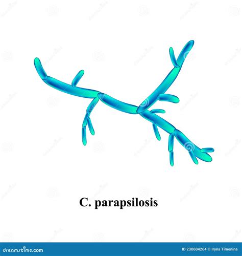 Pathogenic Yeast Fungus Cryptococcus Neoformans Which Causes