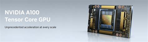 What Is The Best GPU Server For AI And Machine Learning ServerMania