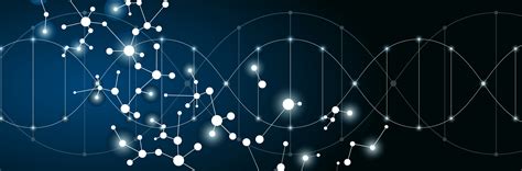 Apdn Presenting Linear Dna For Gene Therapy At Boston Immuno Oncology Summit