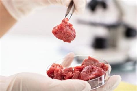 Pythag Tech On Linkedin Lab Grown Meats Show Promise But Scientific Challenges Remain Ecns Cn