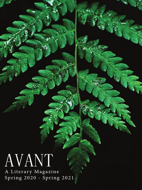 Avant Spring 2020 2021 Pdf