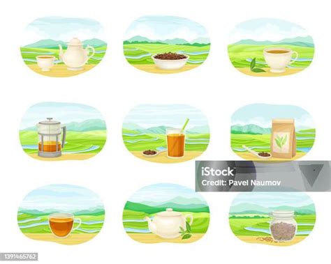 차 녹색 테라스 필드 농장 및 찻주전자 또는 뜨거운 향기로운 음료 양조 벡터 세트가있는 컵 0명에 대한 스톡 벡터 아트 및 기타