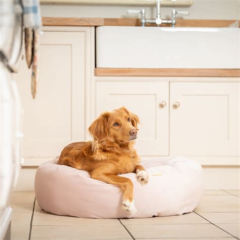 Cockapoo Beds Collars And Accessories Lords And Labradors