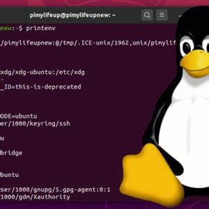 Editing the Hosts File on Linux - Pi My Life Up