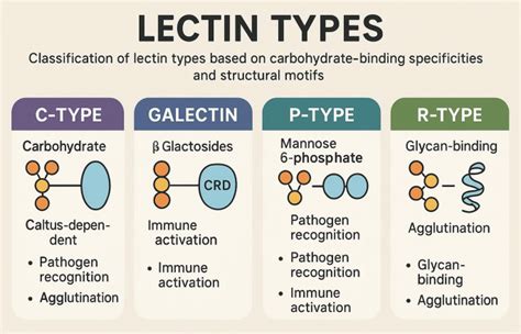 Surveillance And Monitoring Of Humoral Immune Responses Springerlink