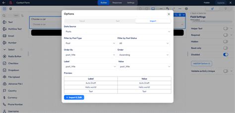 Select Field Setup In Bit Form Bit Form