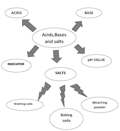 Acids Bases And Salts Class 10 Mind Map