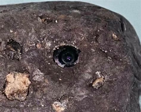 「まるでゴルゴ」岩に似せた盗撮カメラはなぜ見つかった？女性が覚えた違和感…何年も露天風呂を盗撮した男の行為は、被害女性の一瞬のひらめきでバレた（山形） Tbs News Dig 5ページ