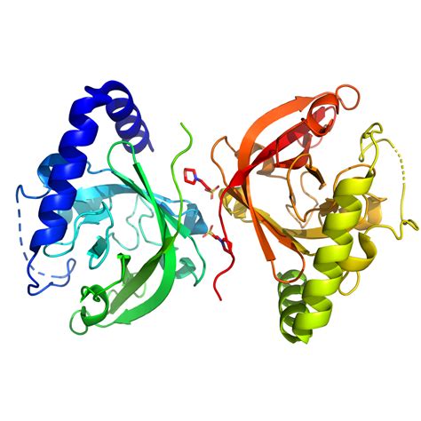 Structural And Molecular Biology
