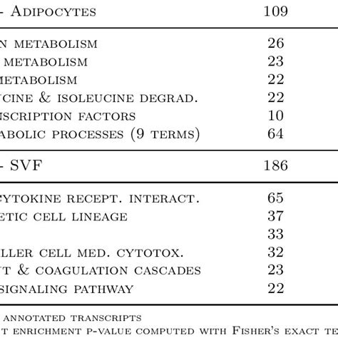 Main Uc Knn Clusters Of Kegg Categories Specifically Expressed In Each