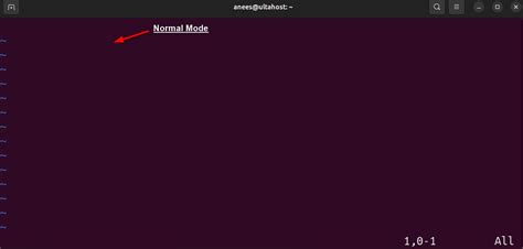 Vim Keybindings Guide For Beginners Ultahost Knowledge Base
