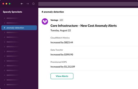 Cost Anomaly Alerts Vantage Features