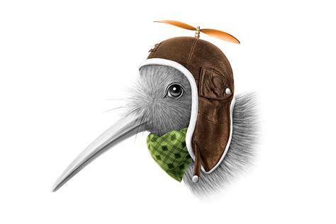 Illustrations Wild Side Cider Behance