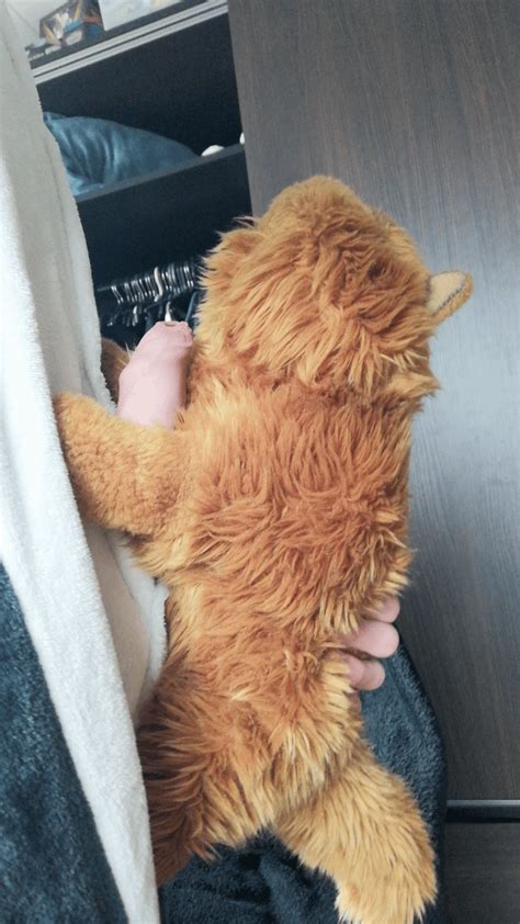 Having Fun With My Plushies R Plushophile