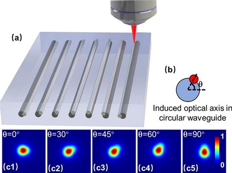 Rotated Optical Axis Waveguide Model A Schematic Of The Rotated Download Scientific Diagram