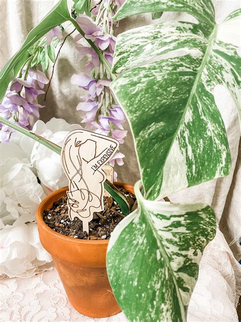 Sexy Plant Signs Single House Plant Sign Plant Trellis Etsy
