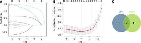Development And Validation Of A Circulating Tumor Dna Based Optimization Prediction Model For