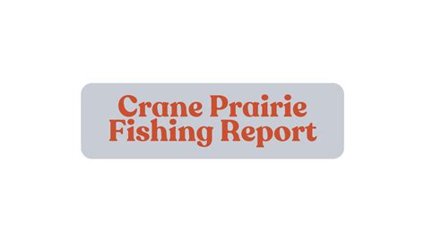 Crane Prairie Update August 30th 2024 Fly And Field Outfitters