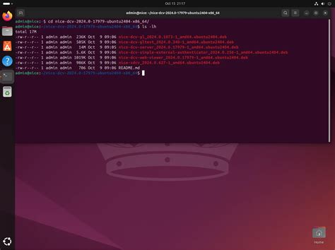 Install Nice Dcv On Ubuntu 2404
