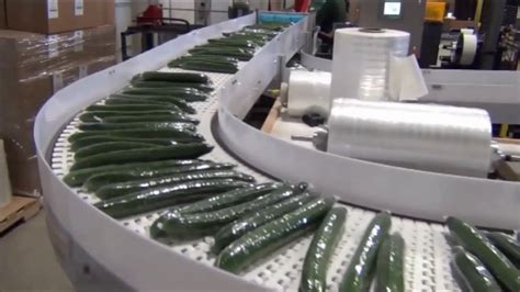 Cucumber Perfection Revolutionizing Handling With Fully Automated Precision Palletandwrapper