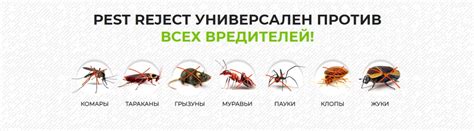Pest Reject — отзывы покупателей, как пользоваться отпугивателем от ...