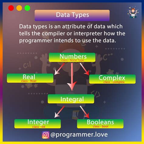 Data Types Data Programmer Type