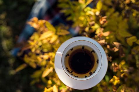 시골 환경 단풍 격자 무늬 아늑한 아침 식사 사진에 홍차와 함께 백색 도자기 컵 0명에 대한 스톡 사진 및 기타 이미지 0명 가을 건강한 생활방식 Istock