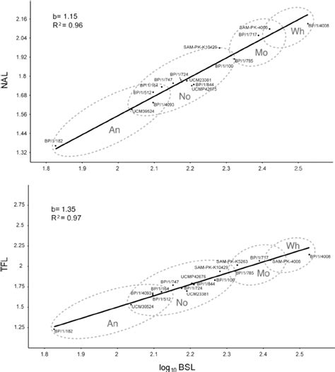 Bivariate Plots Showing Selected Trends Nasal Length And Temporal Download Scientific Diagram